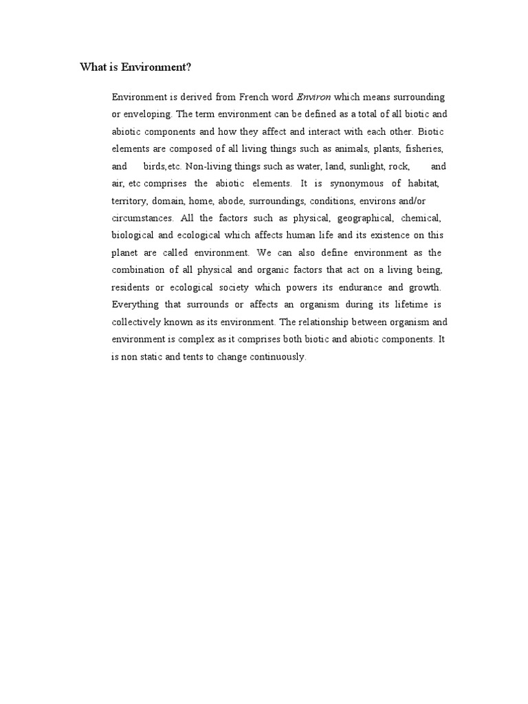 What Is Environment PDF