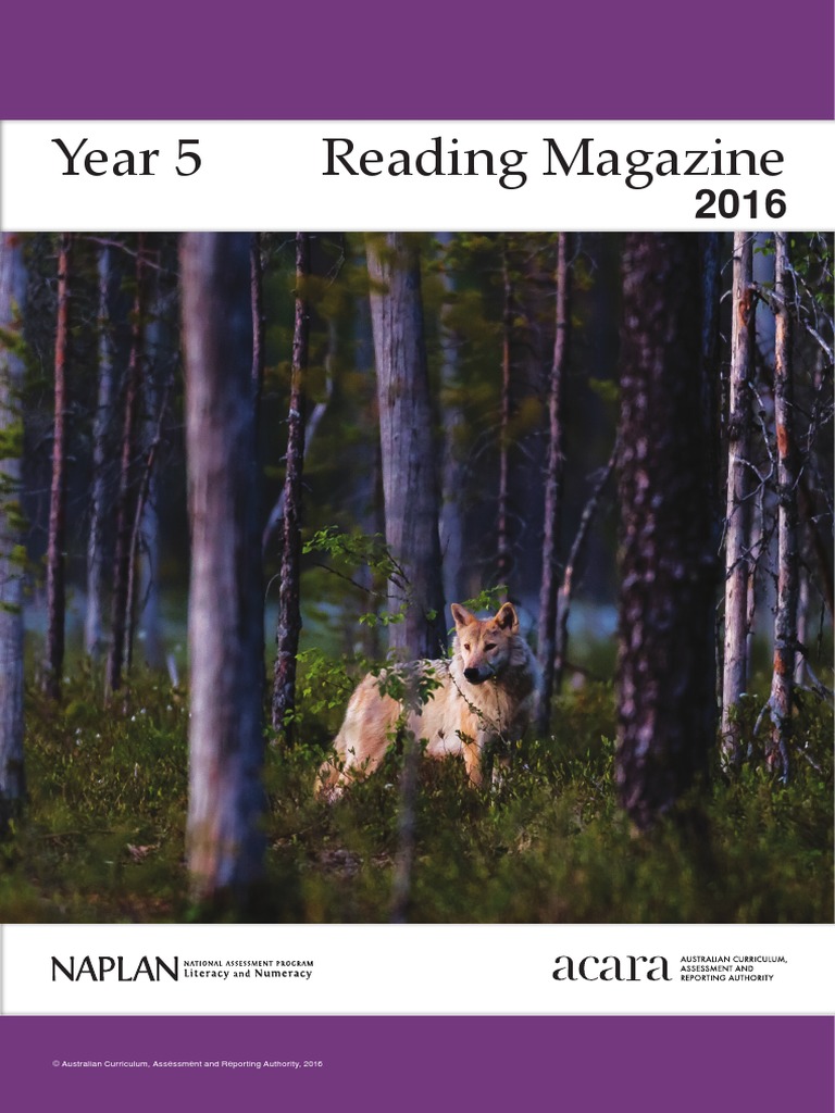 E3 Naplan 2016 Final Test Reading Magazine Year 5 | PDF | Bamboo | Foods