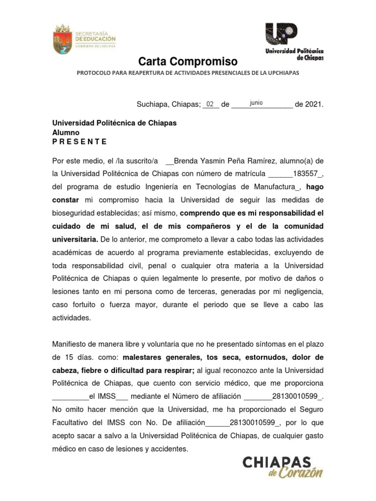 Carta de Compromiso | PDF | Universidad | Bienestar