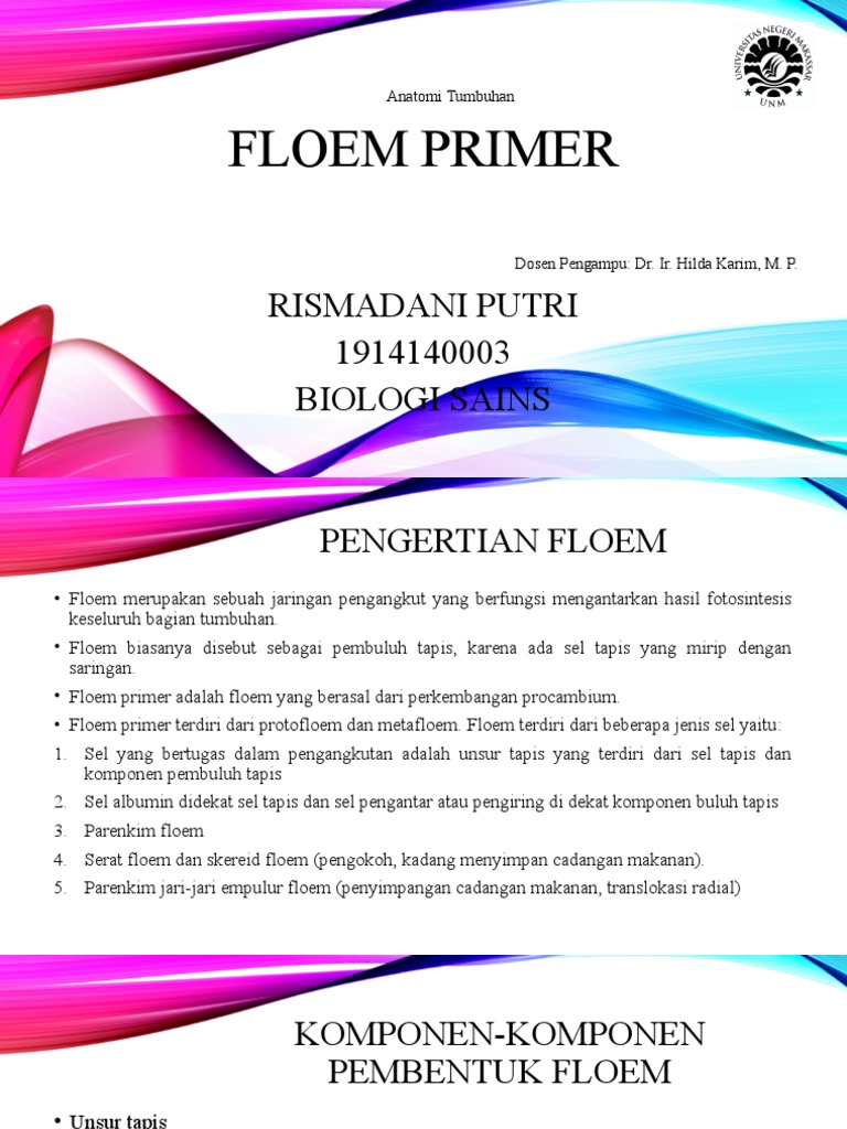 Struktur dan Fungsi Floem Primer | PDF
