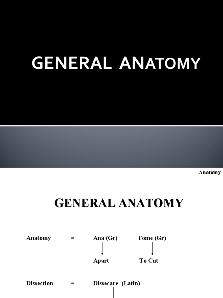 An Introduction to Key Concepts and Terminology in Human Anatomy | PDF ...