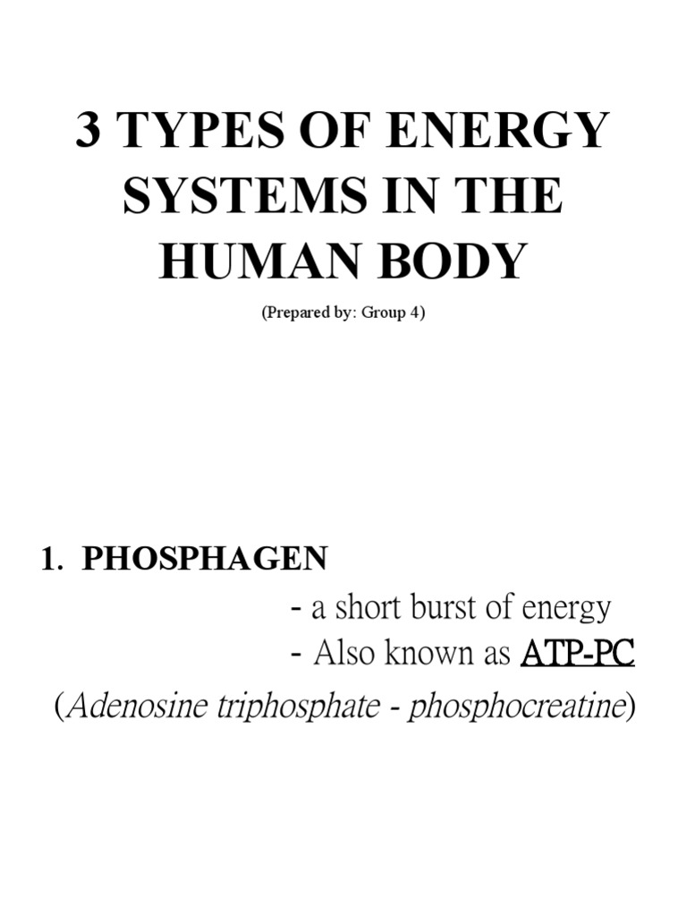 3 Types of Energy Systems in The Human Body | PDF