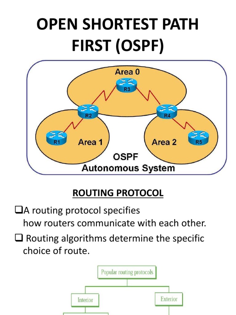Open Shortest Path First (Ospf) | PDF | Routing | Internet Protocols
