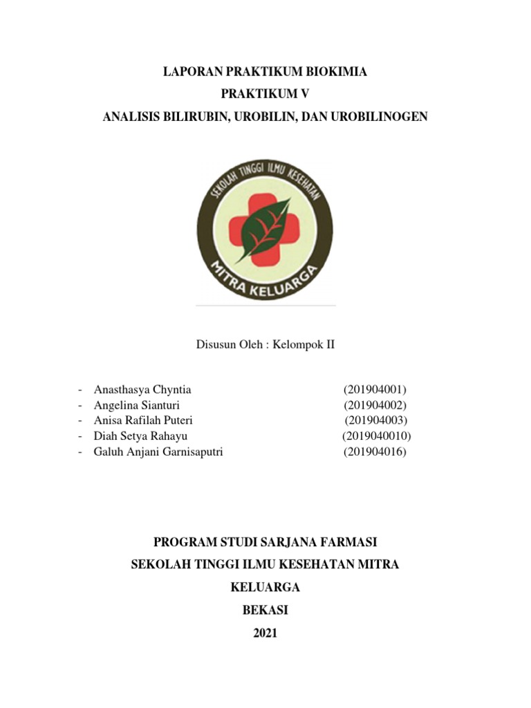 Laporan Praktikum Biokimia Bilirubin-1 | PDF