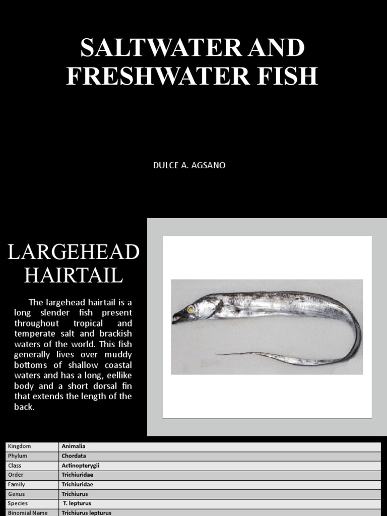 Largehead Hairtail Fish Overview | PDF | Fish | Nature
