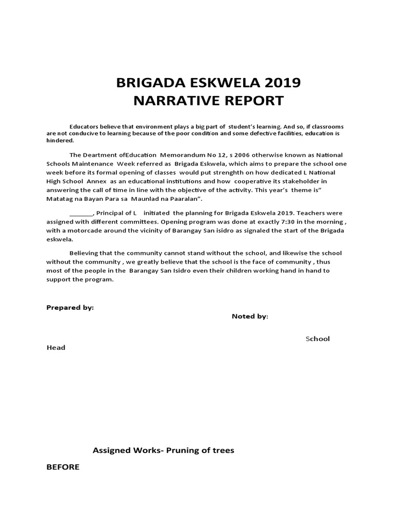BRIGADA ESKWELA 2019 Narrative Report | PDF