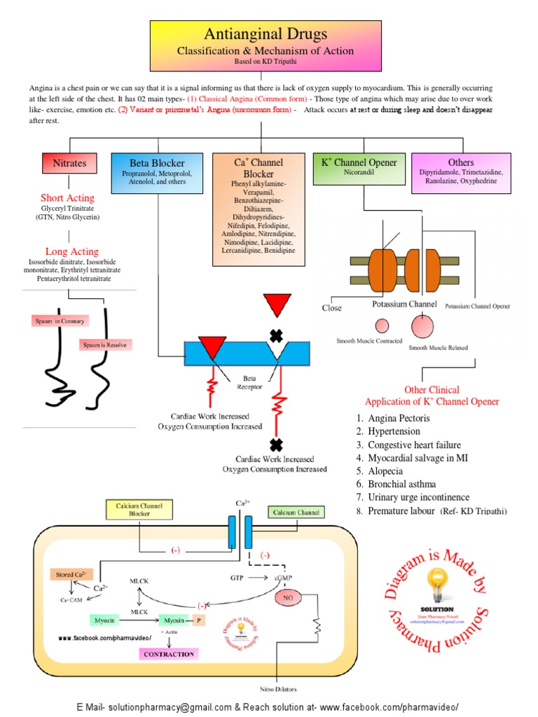 Antianginal Drugs - Classification and Mechanism | PDF | Cardiology ...