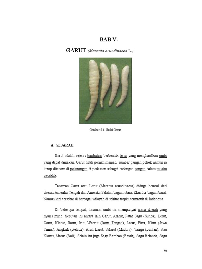 05 - BAB V - GARUT - Oke! Oke! Siap! | PDF