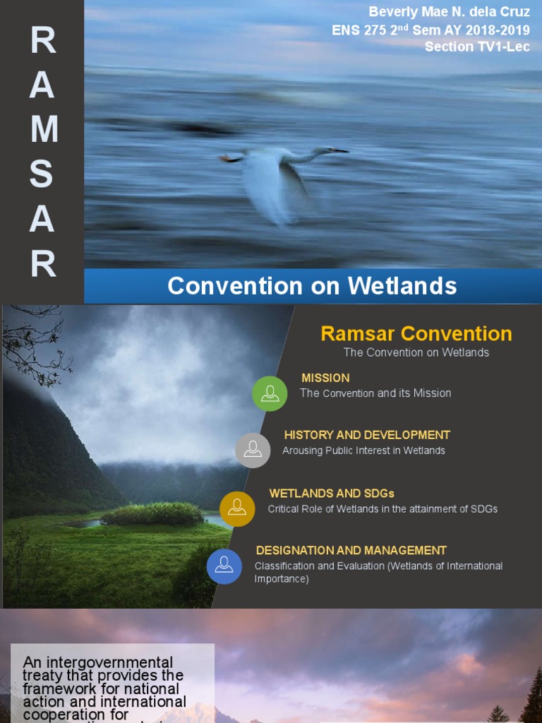 Ramsar Convention Pdf Wetland Species
