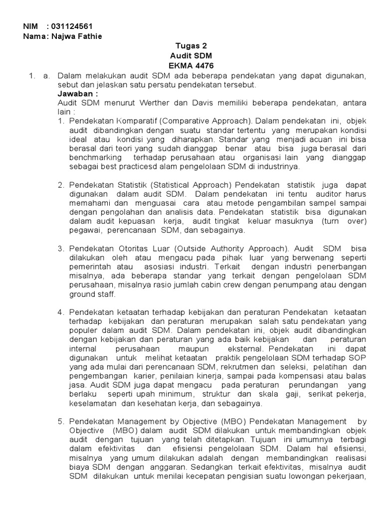 Tugas 2 - Audit SDM | PDF