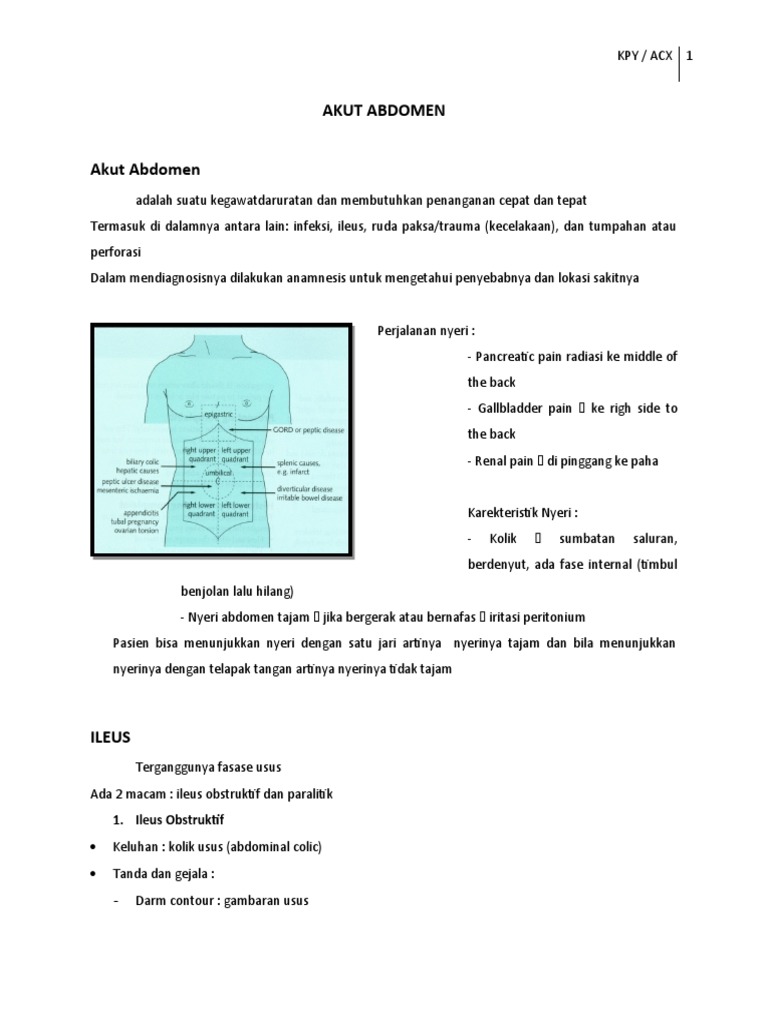 Akut Abdomen | PDF