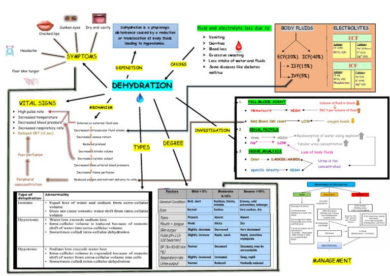 Concept Map | PDF | Dehydration | Blood