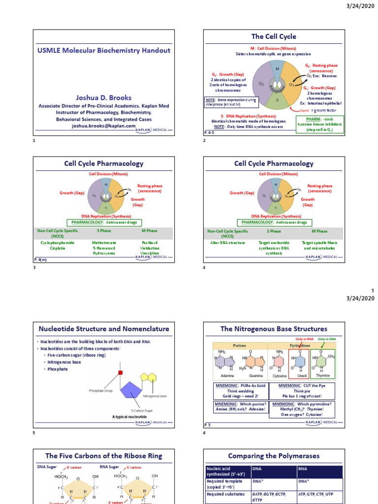 2020 Molecular Biochemistry Handout PDF | Download Free PDF | Dna ...