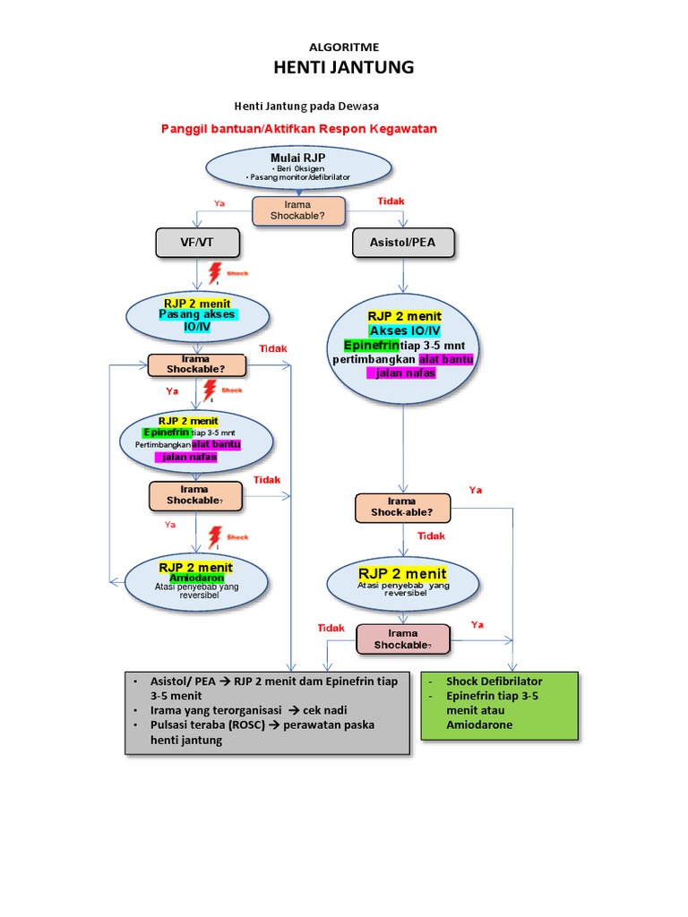 Algoritme Henti Jantung Bradi Taki | PDF