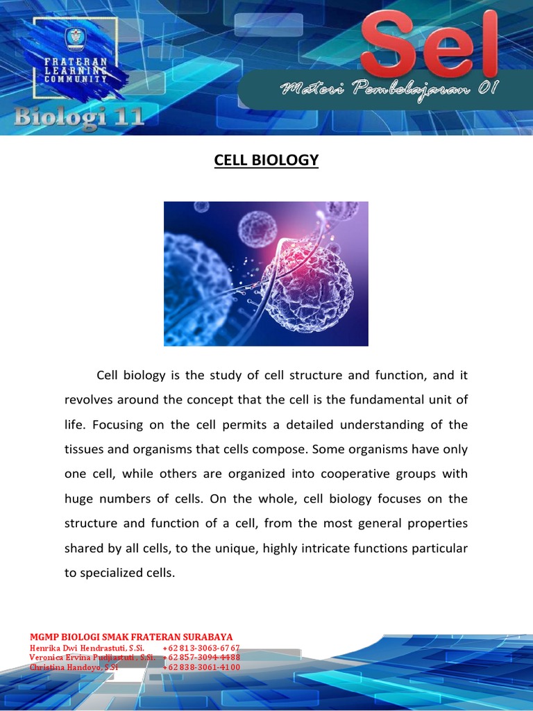 Cell Biology: MGMP Biologi Smak Frateran Surabaya | PDF | Science ...