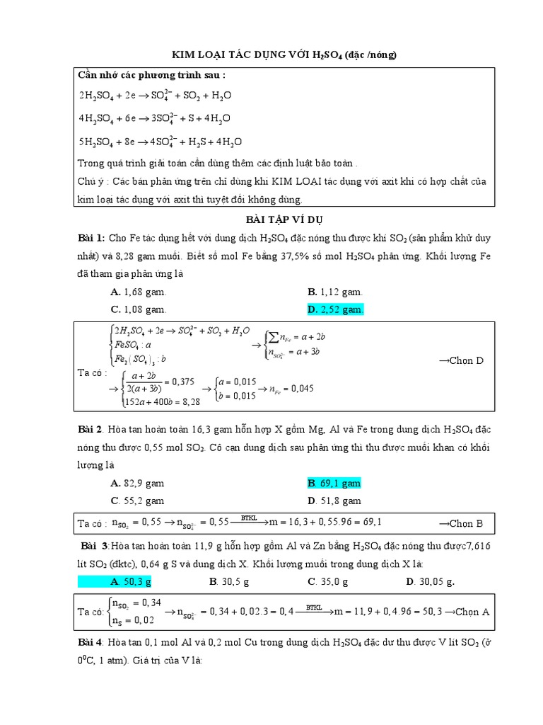 Chuyen de 4. Kim Lo I Tác D NG V I H2so4 (Đ) | PDF