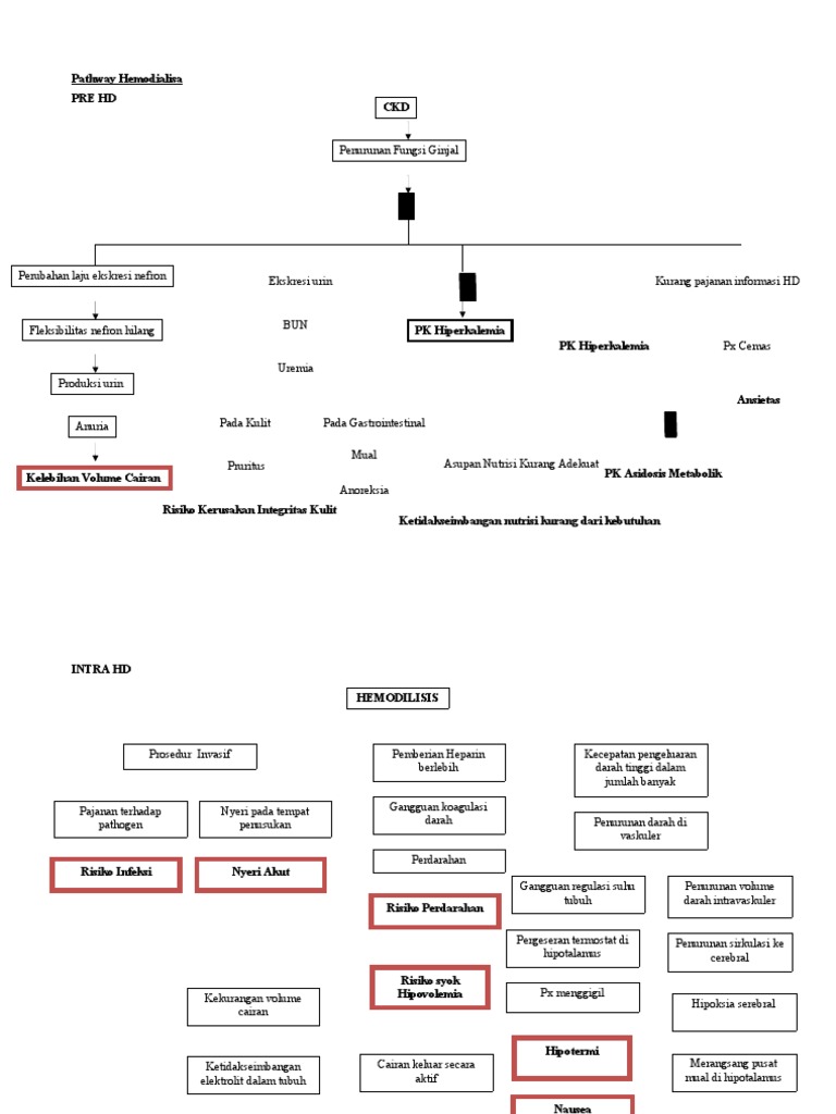 Pathway Hemodialisa | PDF