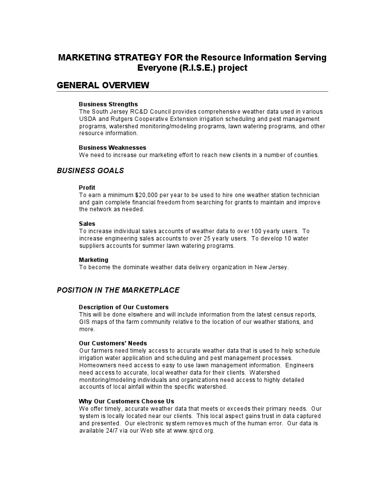 R.I.S.E. Project Marketing Strategy | PDF | Marketing | Internet