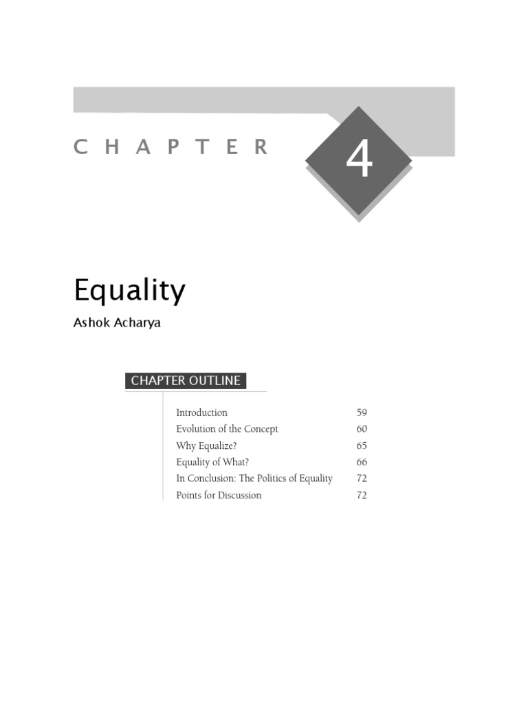 The Politics of Equality Explained | PDF | Social Equality | Egalitarianism