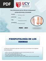 Escala de Flebitis | PDF