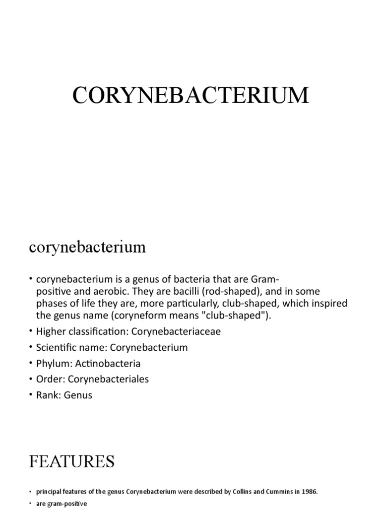 CORYNEBACTERIUM | PDF | Microbiology | Medical Specialties