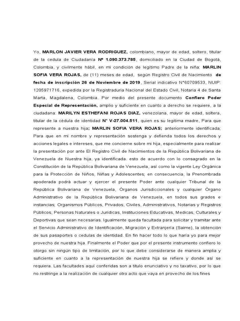 Poder Menor | PDF | Gobierno y personalidad | Política