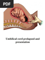 Case Study On Breech Birth | PDF | Maternal Death | Childbirth