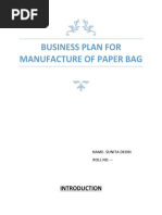 Business Plan On Paper Bag | PDF | Economies | Business