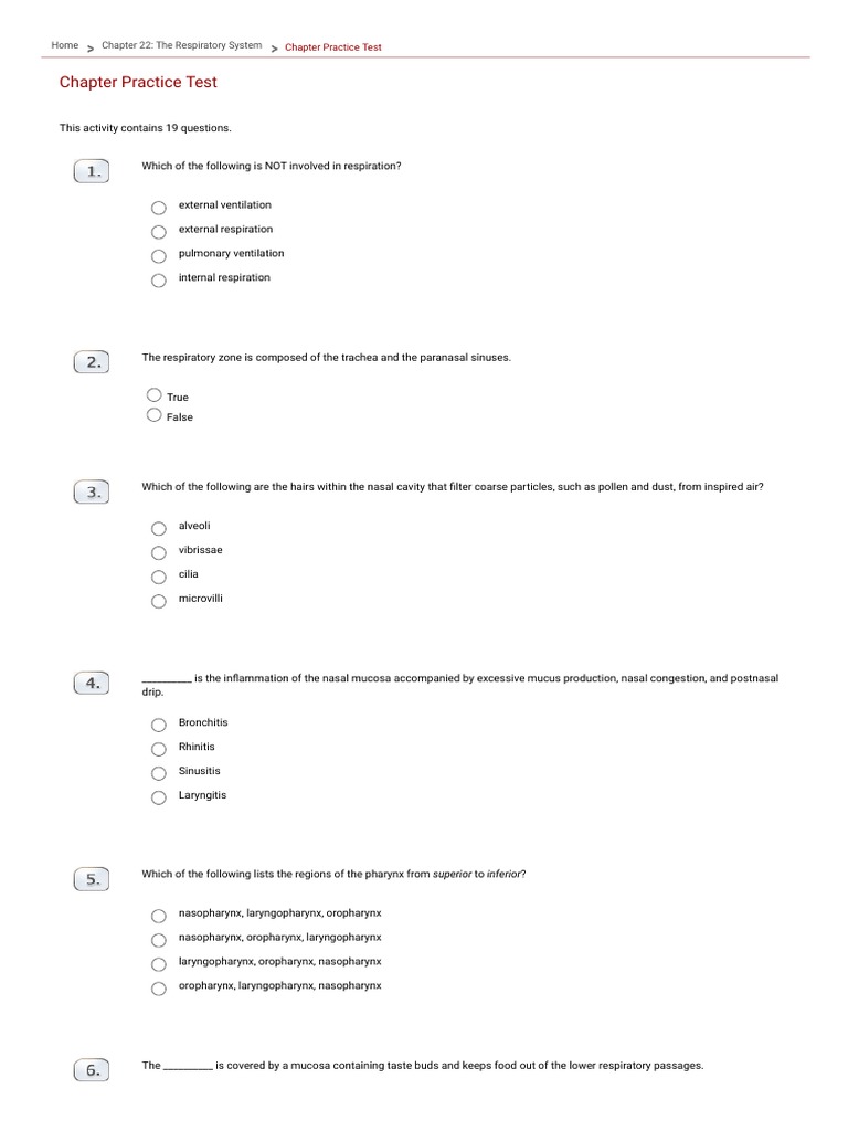 Chapter Practice Test: Home Chapter 22: The Respiratory System | PDF ...