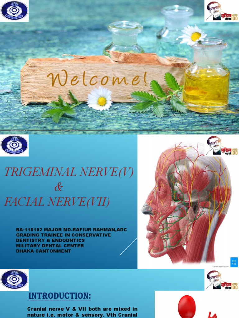Facial Nerve & Trigeminal Nerve | PDF | Face | Anatomy