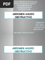 Obstrucción Intestinal Por Adherencias y Bridas | PDF | Especialidades ...