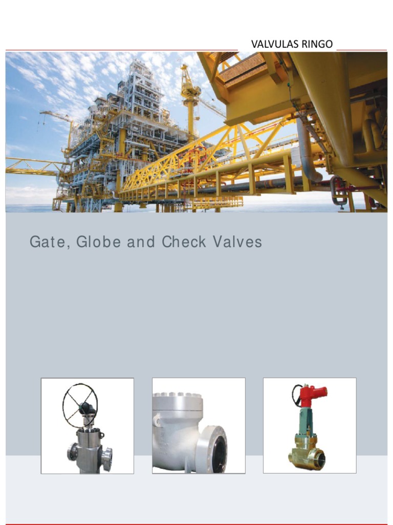Ringo Válvulas: Check Valve Solutions | PDF | Valve | Steel