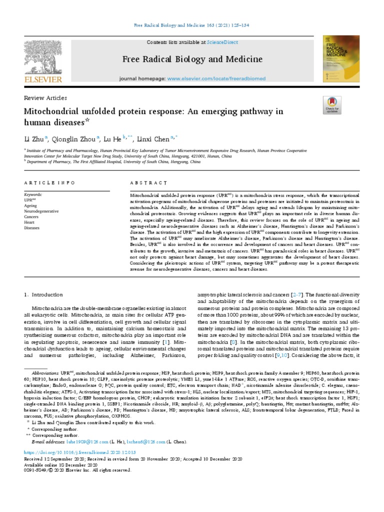 Mitochondrial Unfolded Protein Response | PDF | Neurodegeneration | Mitochondrion