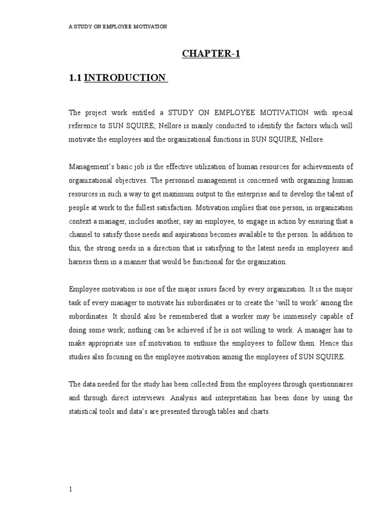 A Project On Employee Motivation | PDF