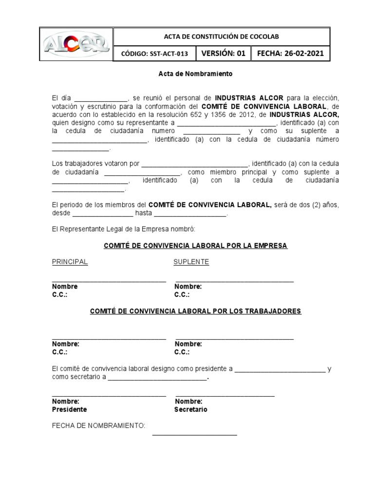 Sst-Act-013 Acta de Constitución Cocolab | PDF