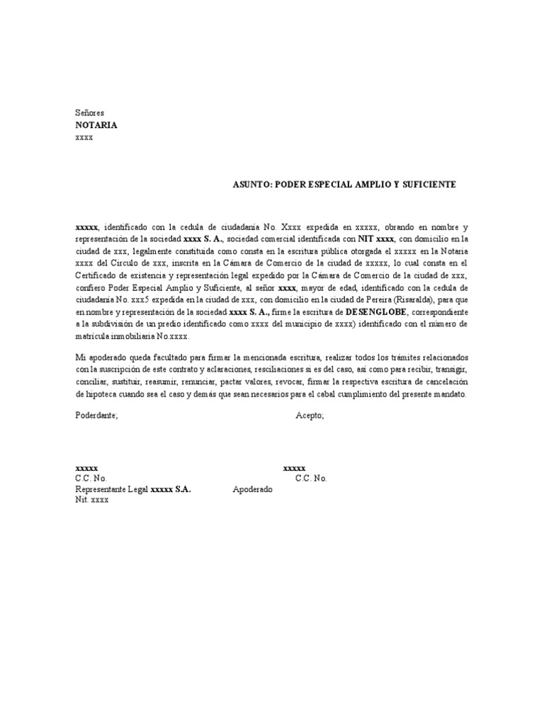 Poder Especial Amplio y Suficiente Desenglobe | PDF