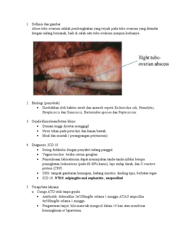 Abses Tuba Ovarium: Definisi dan Terapi | PDF | Sains & Matematika