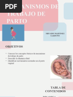 Maniobras Obstétricas en el Parto | PDF | Pelvis | Parto