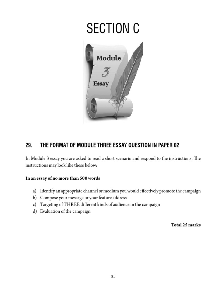 Guidelines for Structuring Responses in the Module Three Essay of the ...