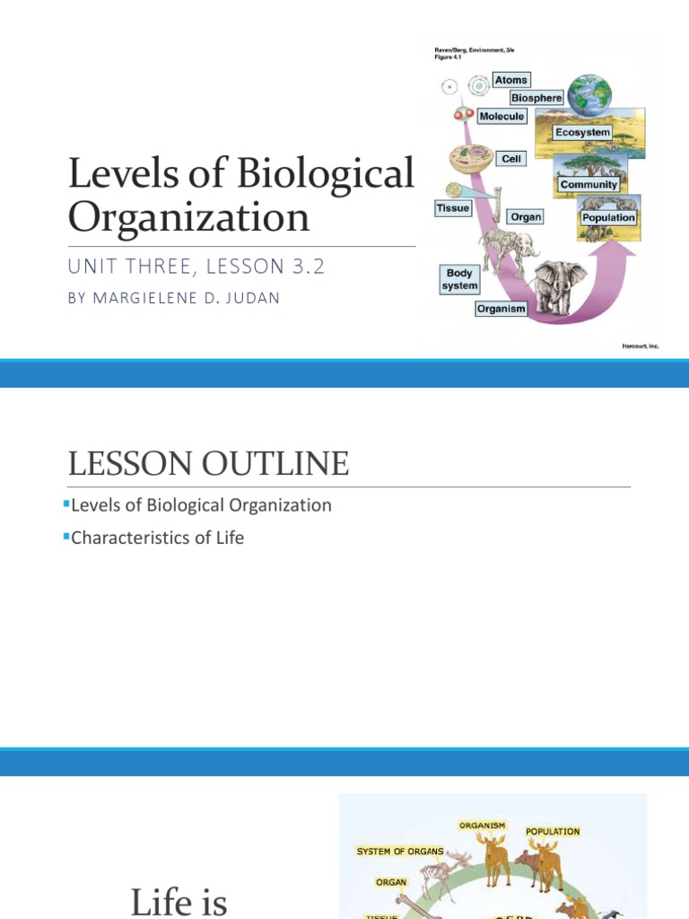 Comprehensive Review of Biological Levels of Organization | PDF | Cell ...