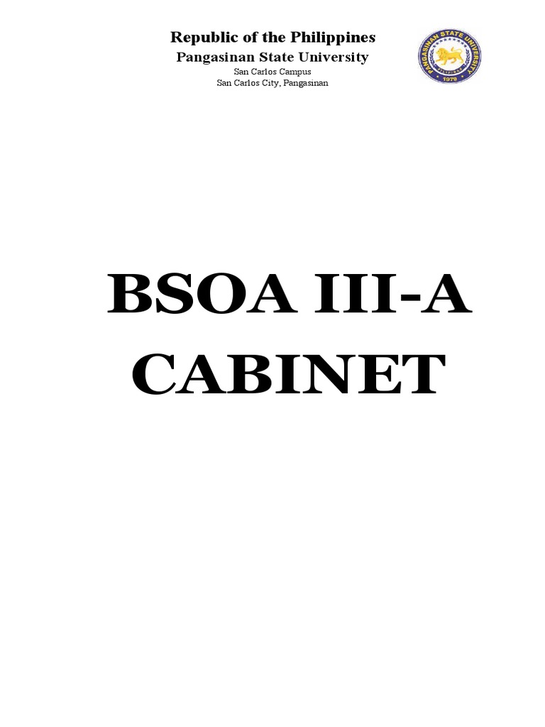 Bsoa Iii-A Cabinet: Republic of The Philippines | PDF | Plywood | Wood