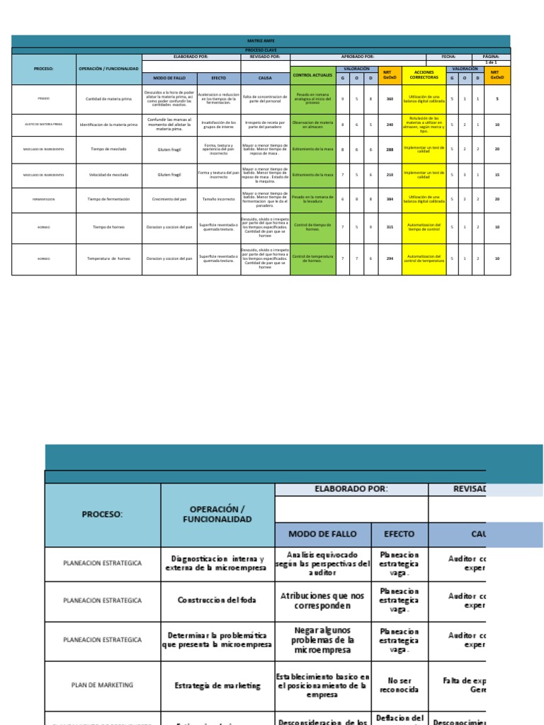 Amfe Matriz | PDF | Panes | Inventario