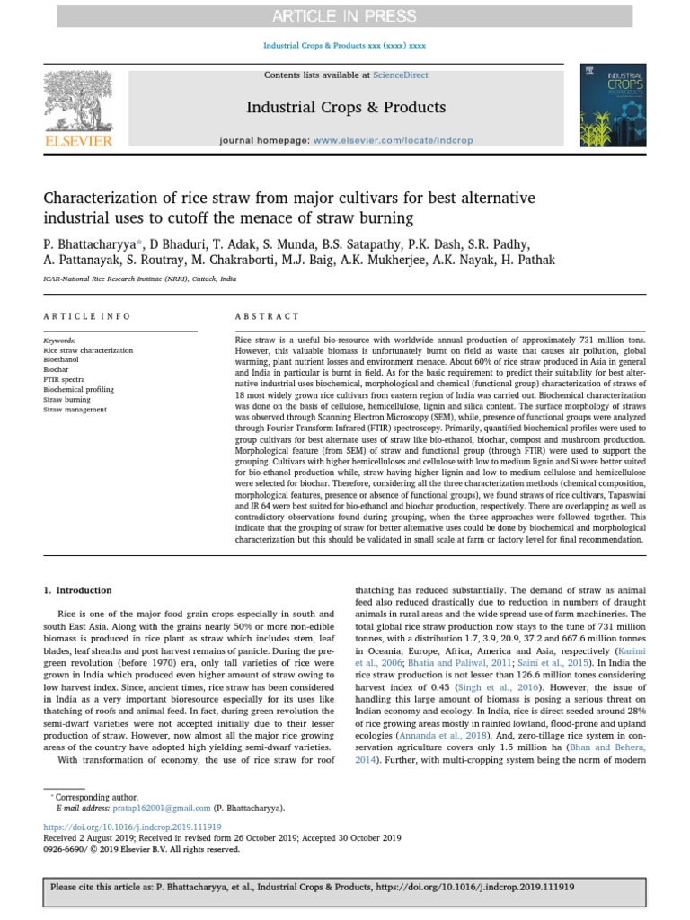Char of Rice Straw | PDF | Lignin | Manure