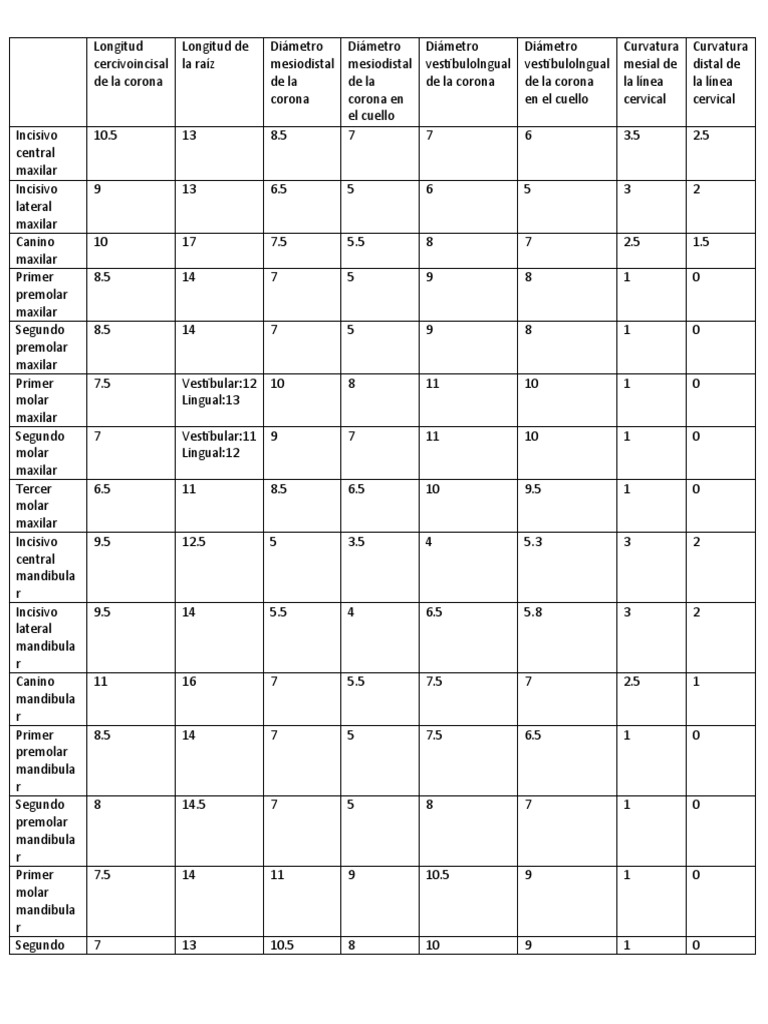 Medidas de Los Dientes | PDF | Cabeza y cuello humanos | Anatomia animal