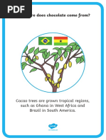 Fair Trade Chocolate Activity Book | PDF | Fair Trade | Cocoa Bean