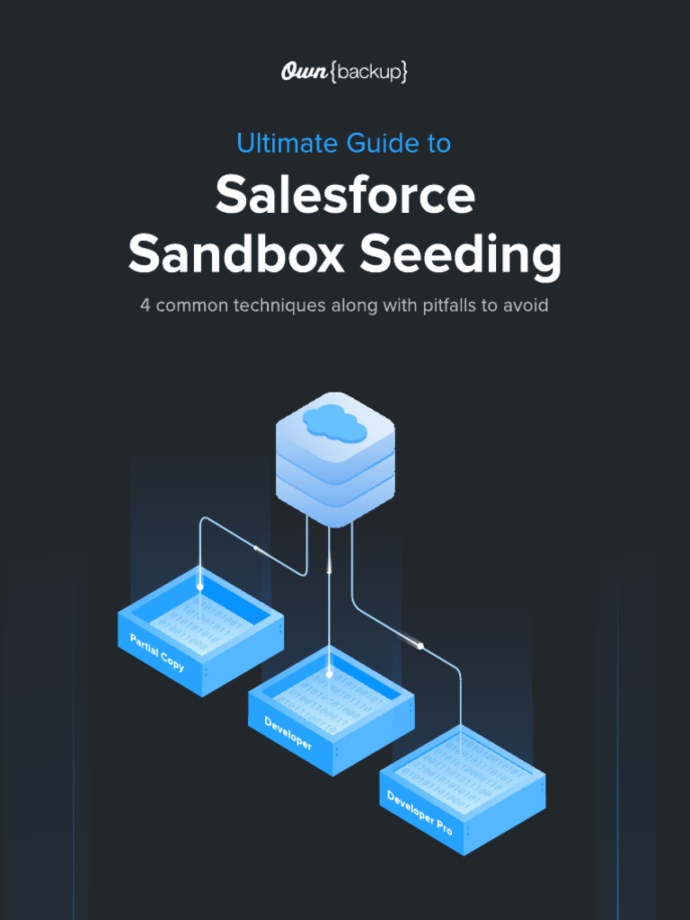 OwnBackup - Guide To Salesforce Sandbox Seeding | PDF