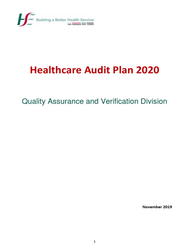 Assessing Risk and Ensuring Quality: The 2020 Healthcare Audit Plan ...