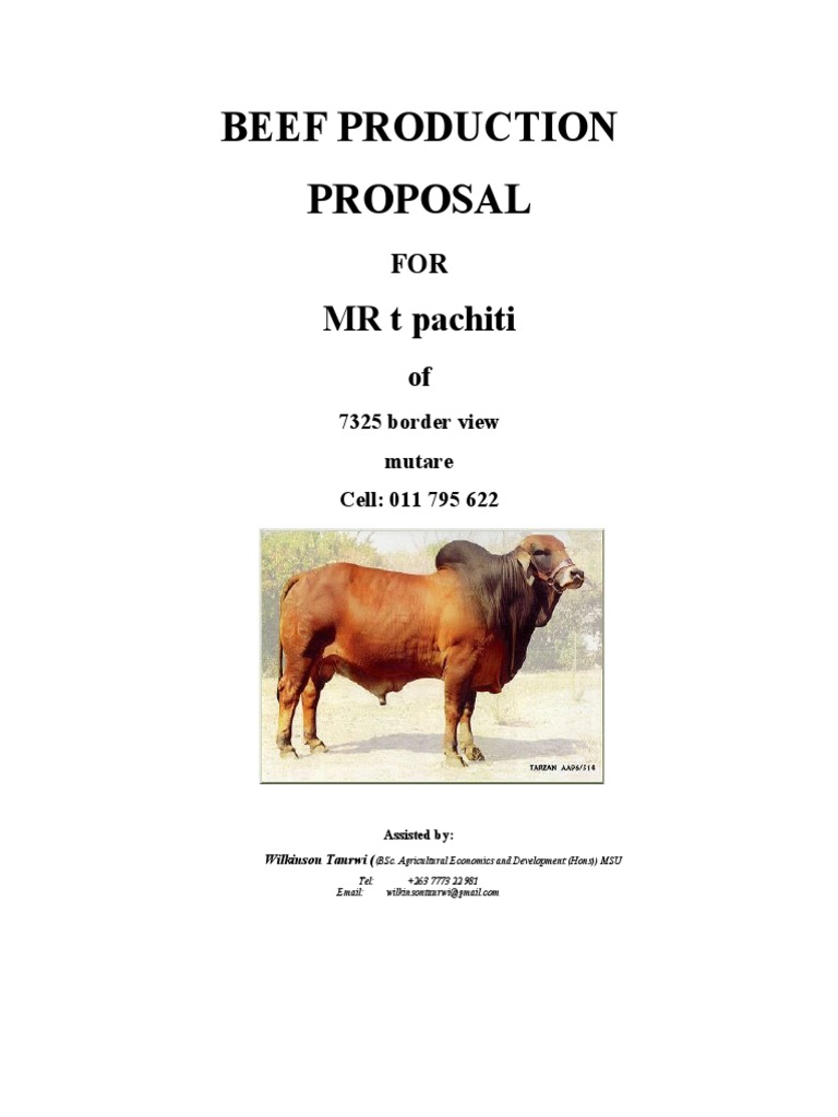 Beef Production Project Proposal | PDF | Cattle | Farms