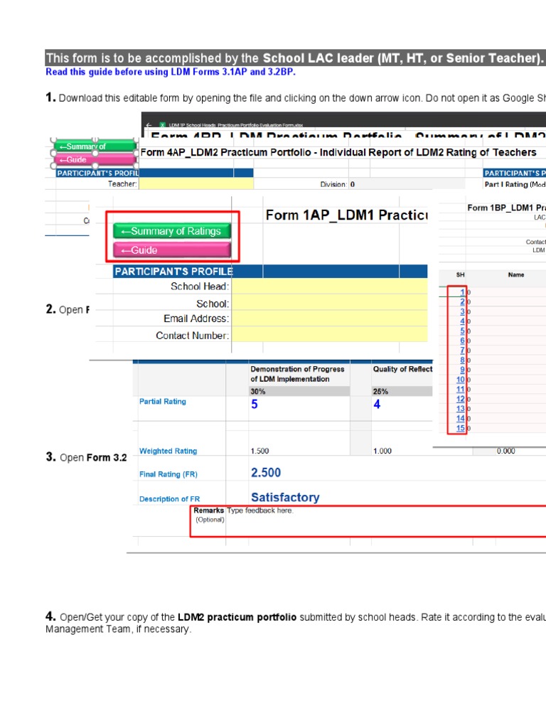 LDM Forms Guide for School LAC Leaders | PDF | Cognitive Science | Computing
