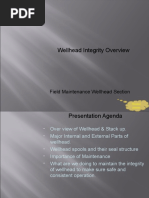 Cameron Wellhead Presentation | PDF | Casing (Borehole) | Valve